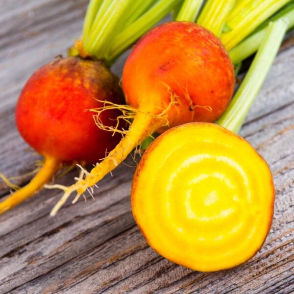 Beetroot 'Golden globe' – Seed Street Australia